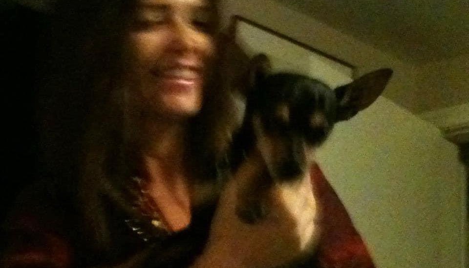 Au܂Migos Pets, primeira marca pet do Grupo Boticário, anuncia chegada em todas as lojas O ...