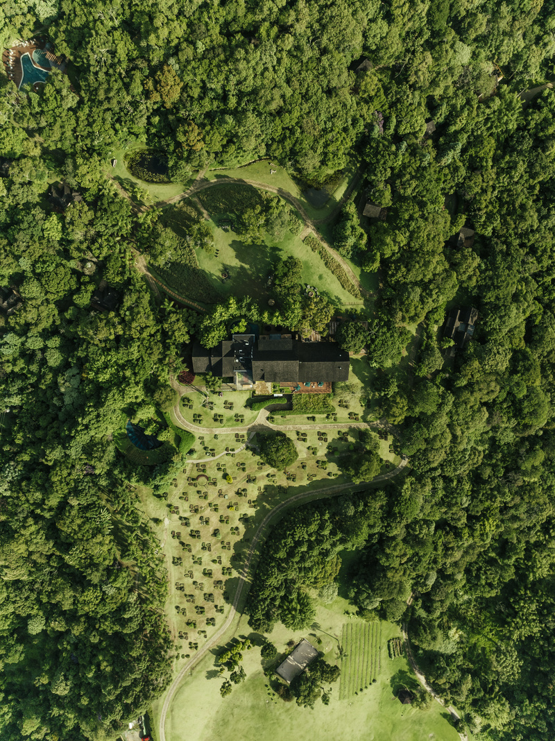Botanique Hotel Experience exibe obras de Renot de julho a setembro