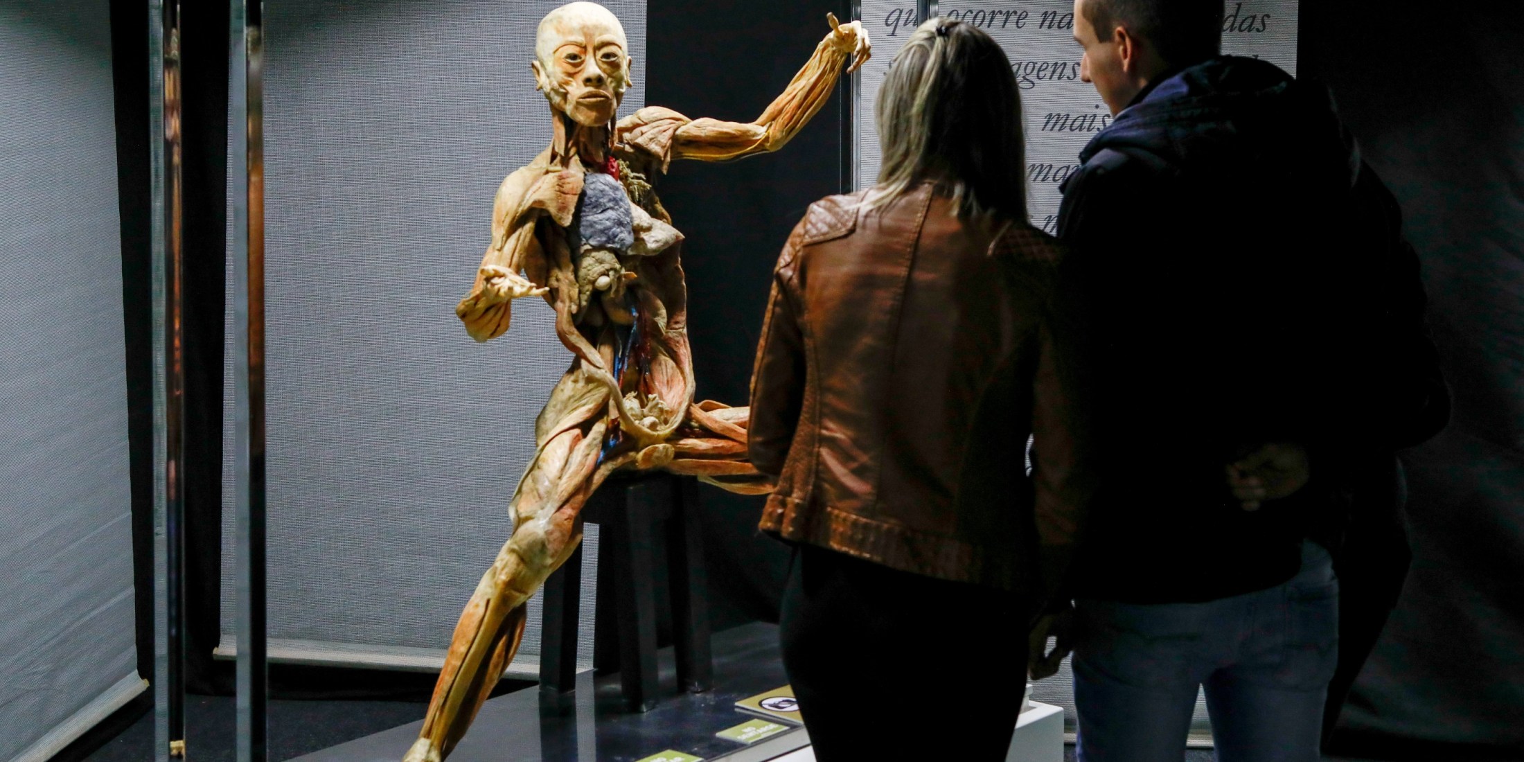 HUMAN BODIES – MARAVILHAS DO CORPO HUMANO CHEGA A CURITIBA